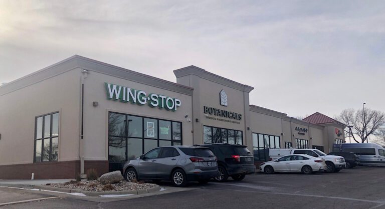 Wingstop opens in southwest Sioux Falls - SiouxFalls.Business