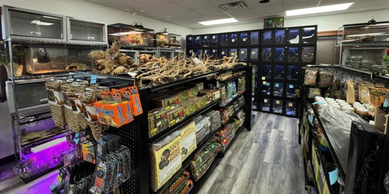 Reptile zoo/pet shop nears completion ahead of weekend expo ...